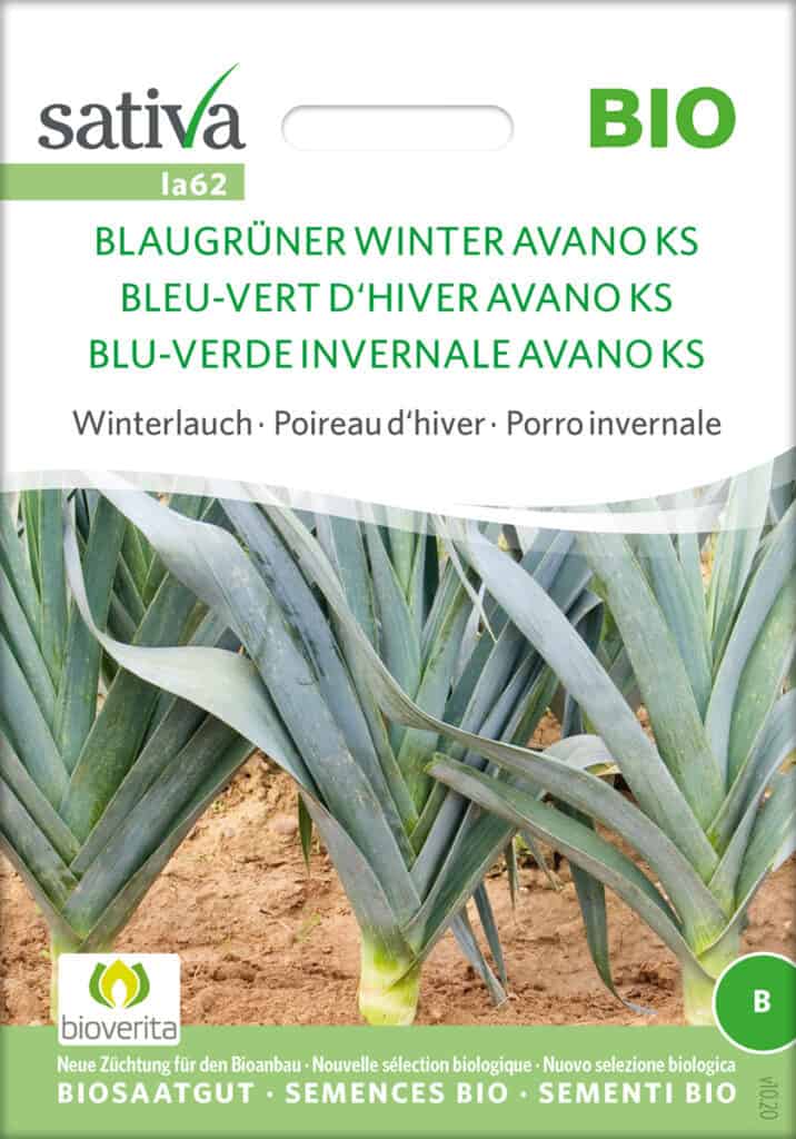 Blaugrüner Winter Avano - Porree ???? BIO Samen / Saatgut kaufen | 3,05